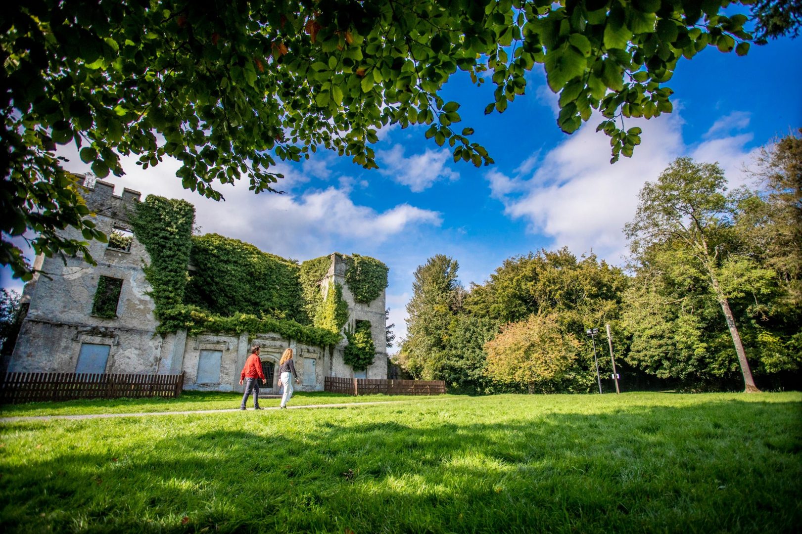 Make a Break for it with an adventure in Kildare