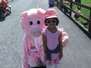 Kildare Farm Foods Open Farm & Shop - IntoKildare