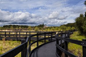 Lullymore Heritage & Discovery Park - IntoKildare