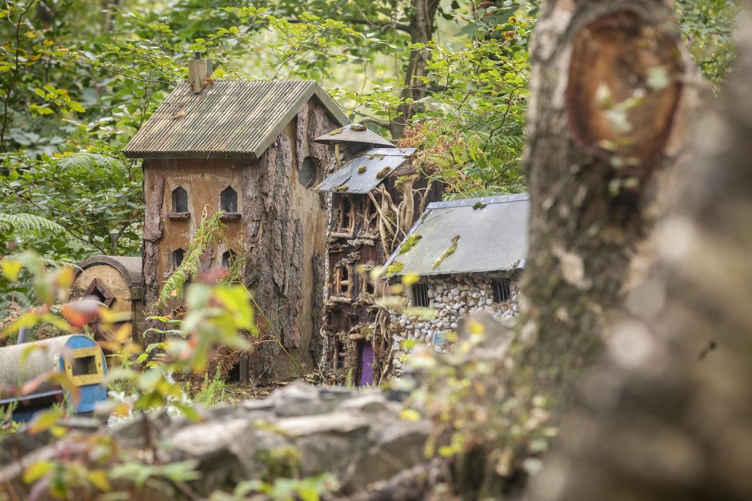 Lullymore Heritage & Discovery Park - IntoKildare