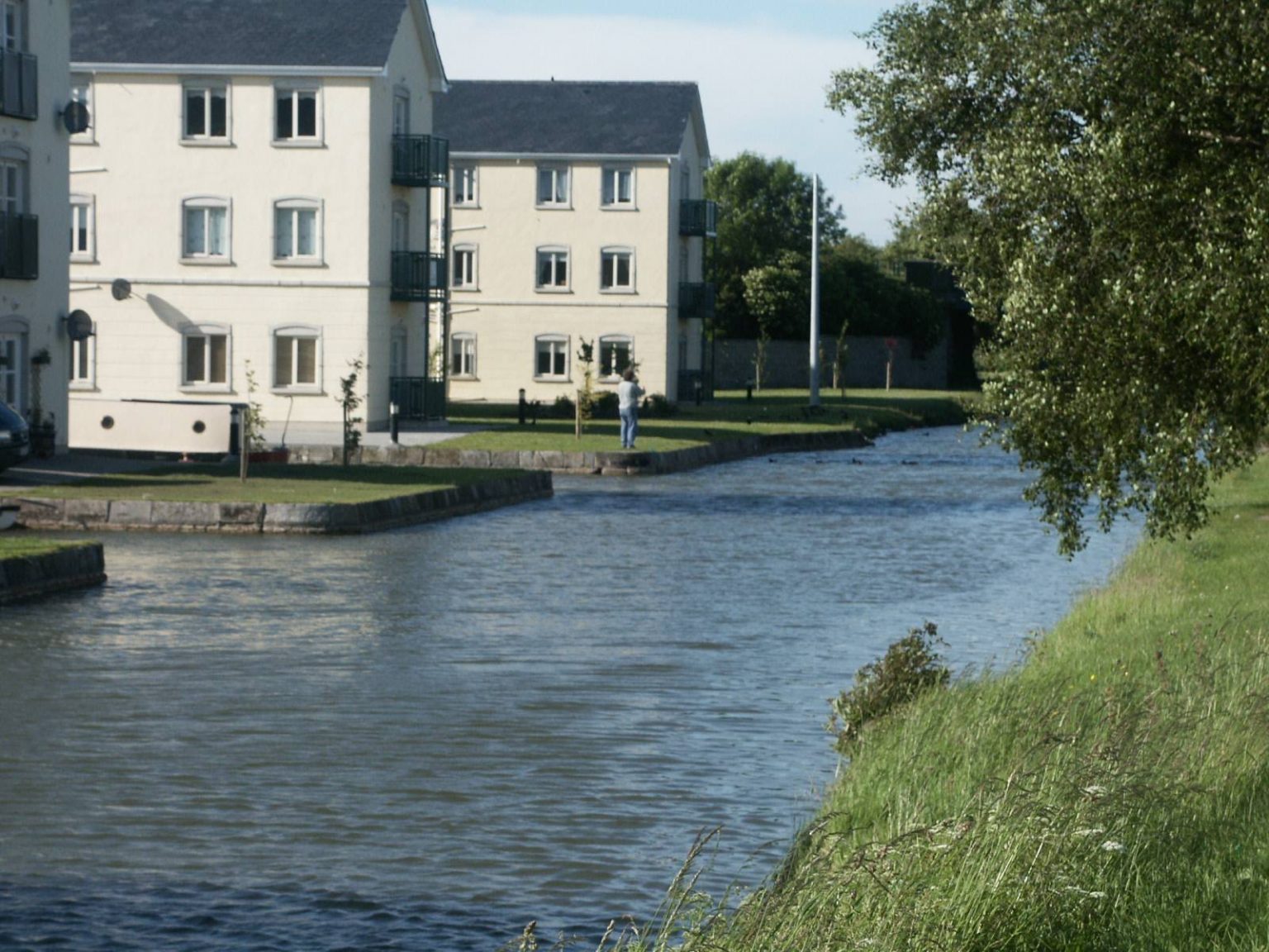 Monasterevin Tidy Towns - IntoKildare
